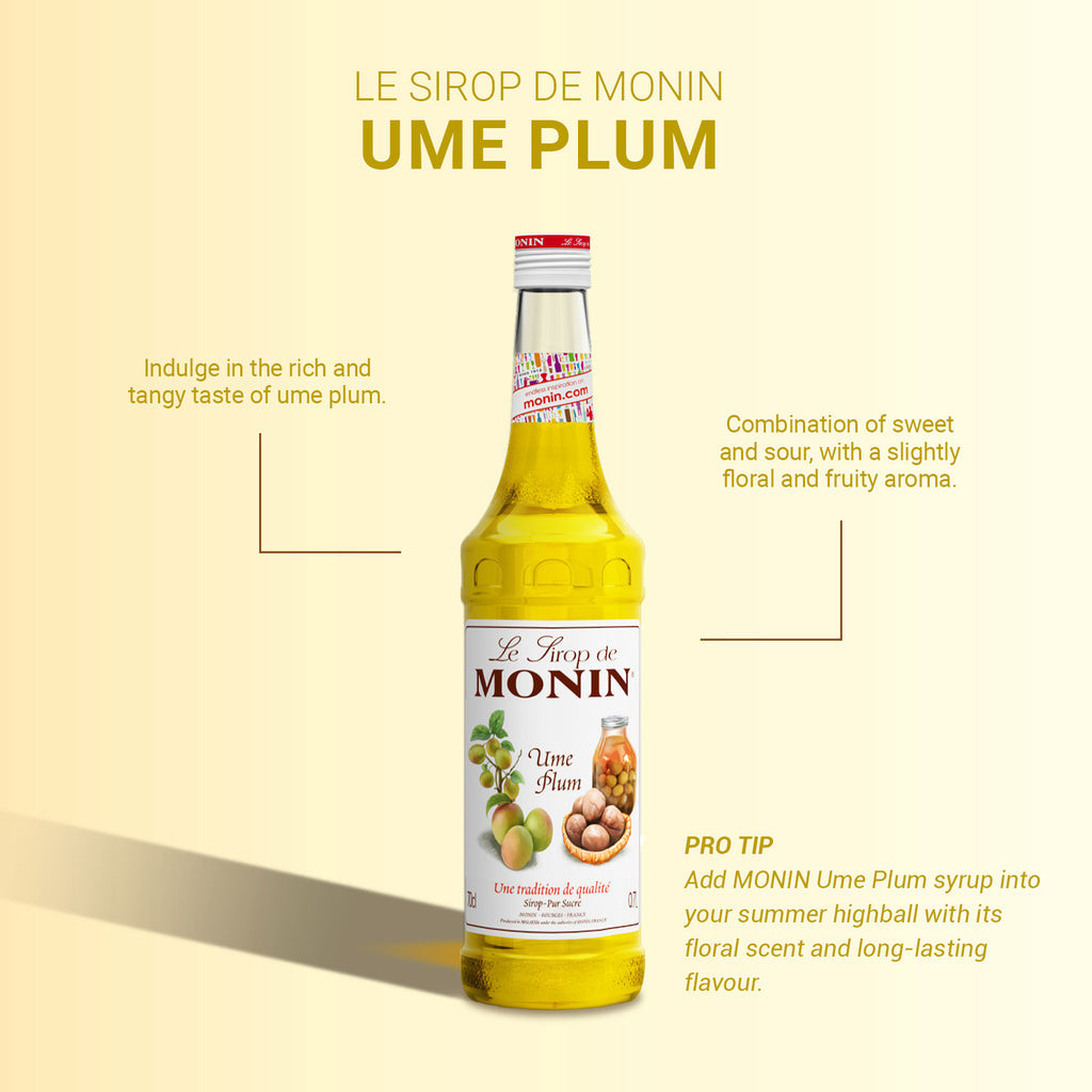 Jual Monin Ume Plum Syrup Kemasan Repack Umeshu | Shopee Indonesia