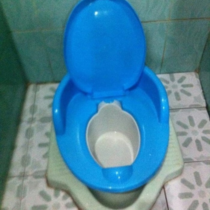 Jual PISPOT GREEN LEAF 5109 / Potty Training Seat Closet Duduk Anak 1,5 ...