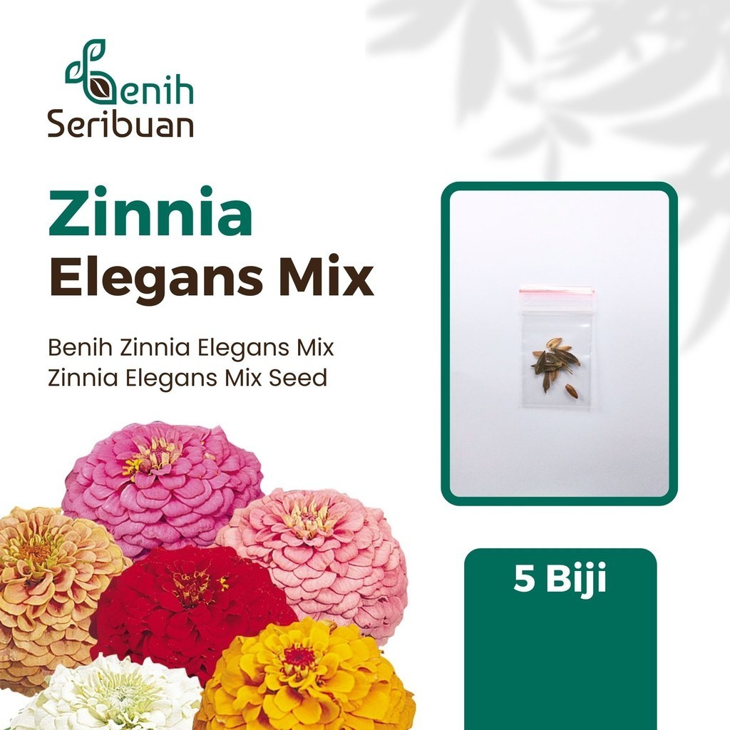 Jual Benih Seribuan - 5 Bibit Bunga Zinnia Elegans Mix Unggul | Shopee ...