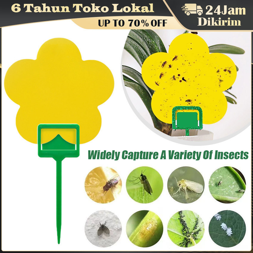 Jual Bentuk Bunga Perangkap Serangga Lalat Tanaman / Lem Kertas Double ...