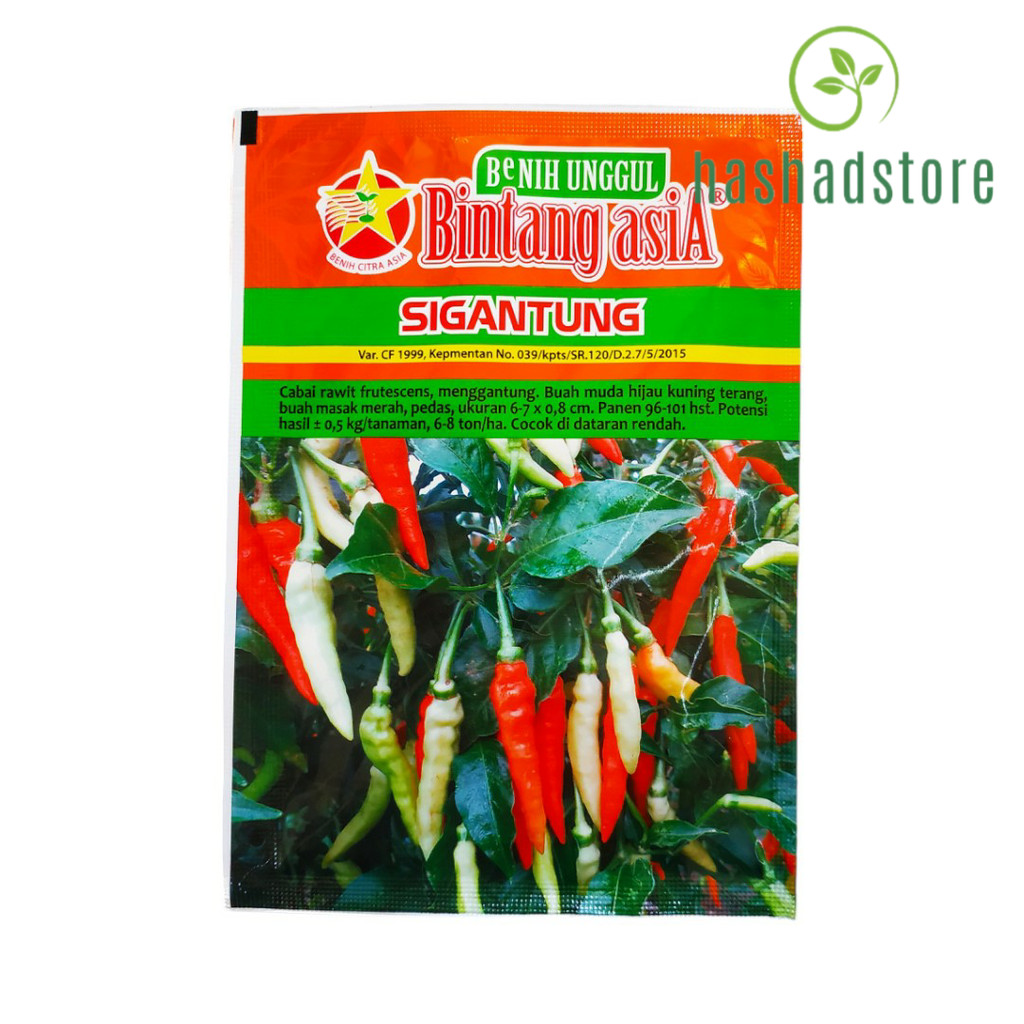 Jual Benih Cabe Cabai Rawit SIGANTUNG Isi 10 gram Benih Bintang Asia ...