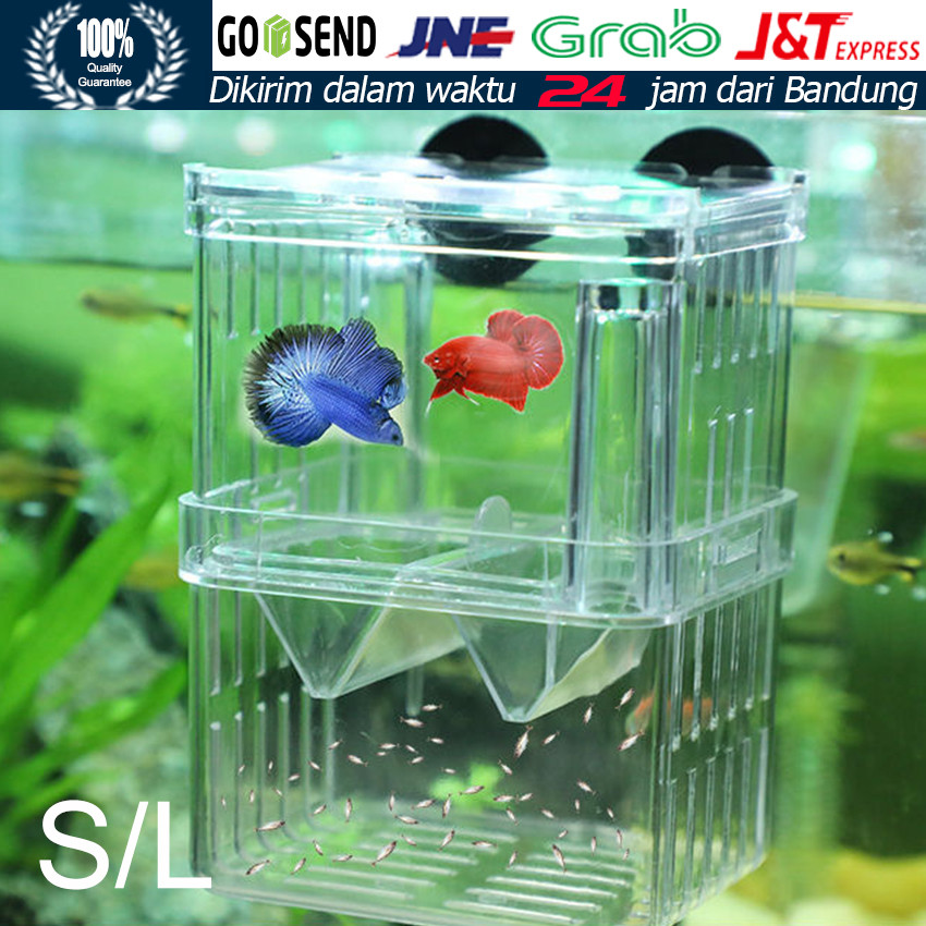 Jual Breeding Box Guppy / Kotak Pembenihan Tangki Ikan / Breeding Box ...