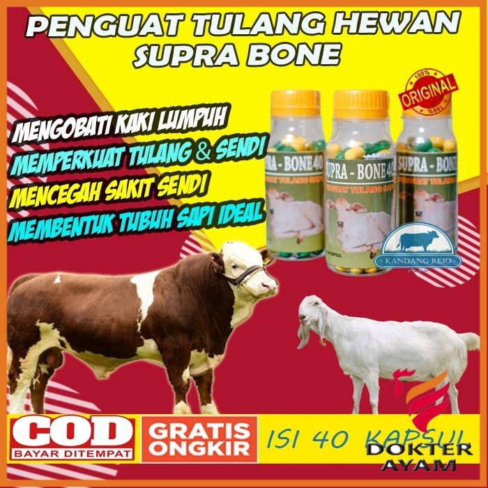 Jual Obat Sapi Pmk Supra Bone Penguat Tulang Isi 40 Kapsul | Shopee ...