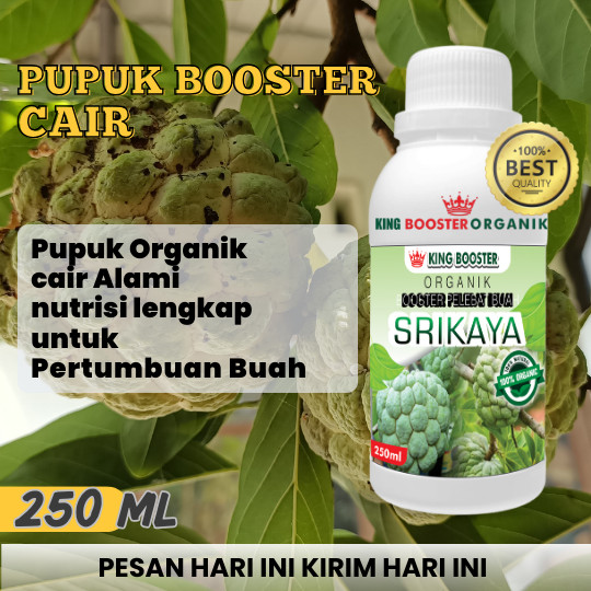 Jual Pupuk cair booster pelebat buah srikaya pupuk perangsang buah nutrisi untuk bunga dan buah ...