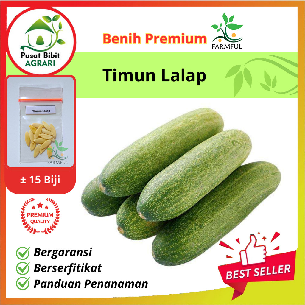 Jual Benih Sayuran Timun Lalap Unggul Pusat Bibit Agrari | Shopee Indonesia