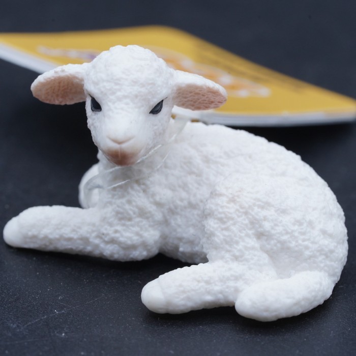Jual KORI Merino Lamb Sheep Kambing Domba Mainan Figure Binatang ...