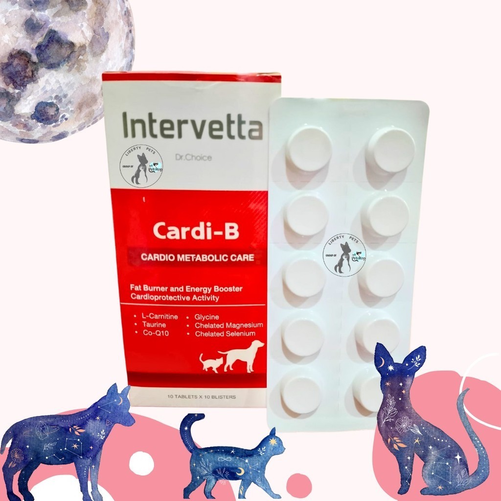 Jual Intervetta Cardi B Suplemen Jantung Cardiac Kucing Anjing (1 ...