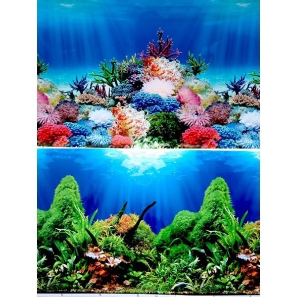 Jual Background Begron Stiker Aquarium Latar Gambar 30 40 50 60 cm ...