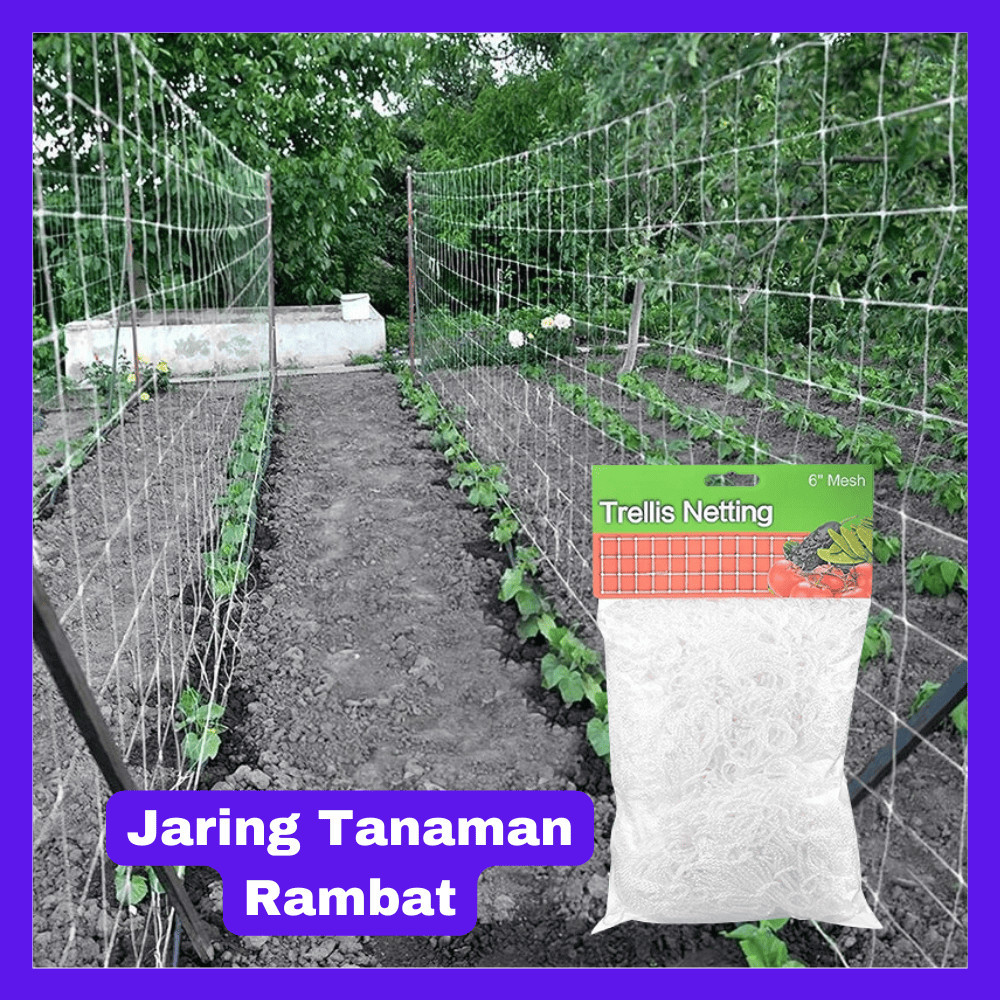 Jual Sweety Store Indonesia-JARING RAMBATAN TANAMAN PLANT CLIMBING NET 1.67x10 METER - JARING ...