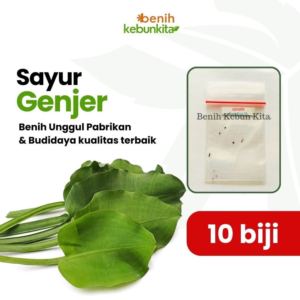 Jual Biji Benih Bibit Sayuran Genjer/Gendot | Shopee Indonesia