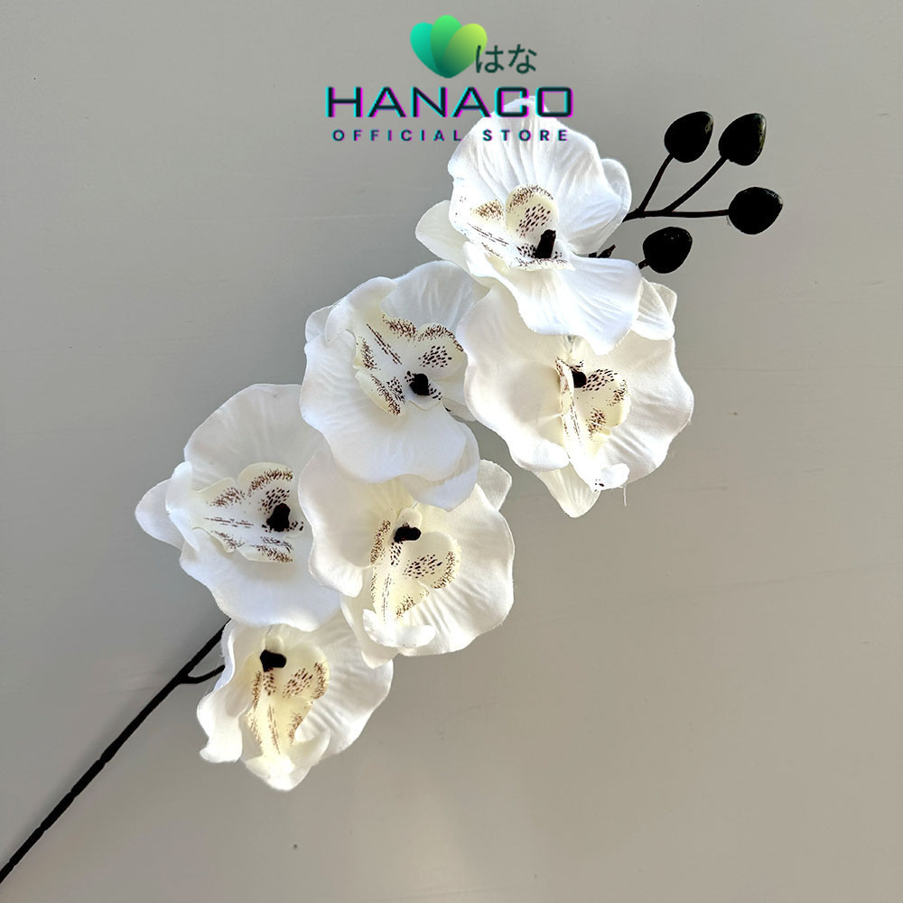 Jual HANACO - Anggrek 6 SIX DANCING ORCHID 65CM Tangkai Panjang ...