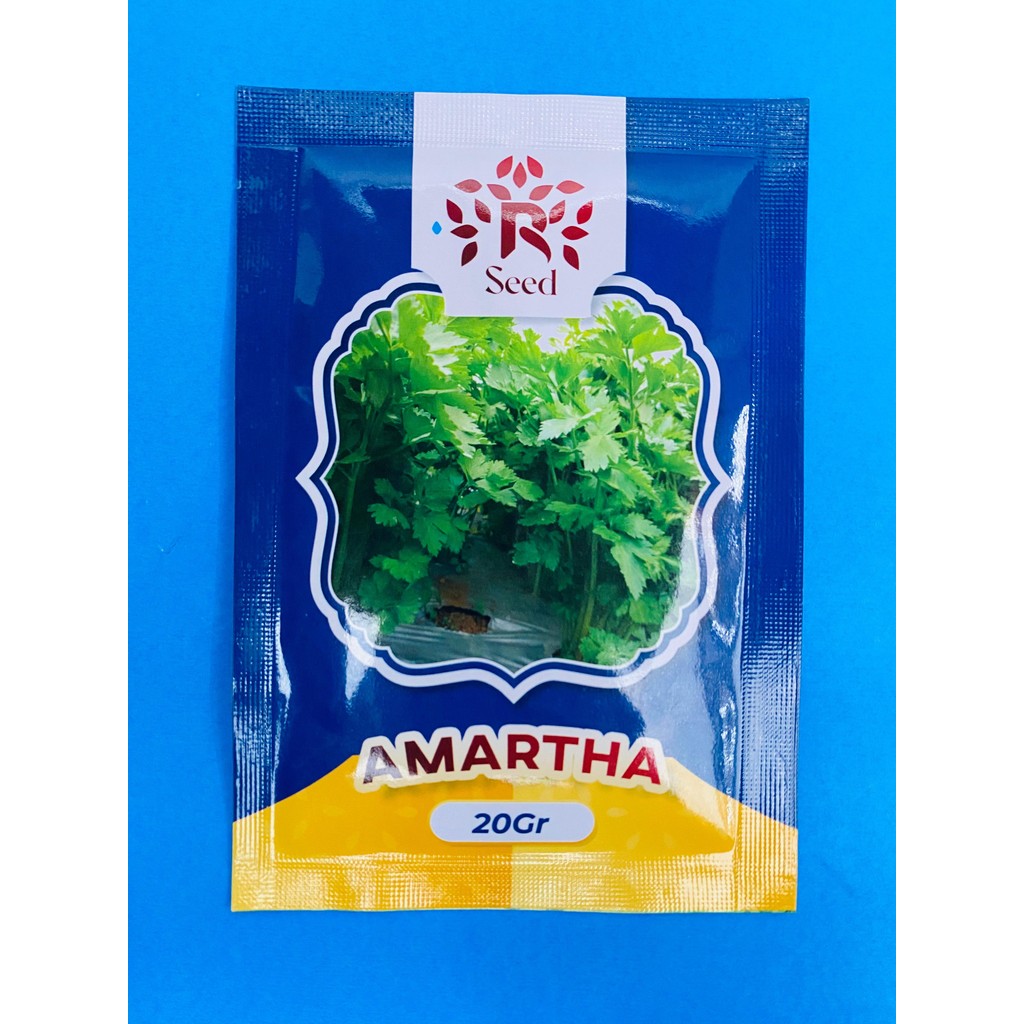 Jual benih seledri AMARTHA 20gr aroma kuat batang kokoh dari R SEED ...