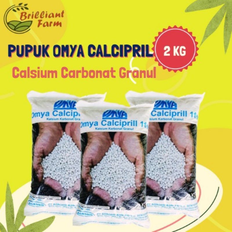 Jual Omya Calciprill 110 Kalsium Karbonat Granul, kemasan 2kg. by ...