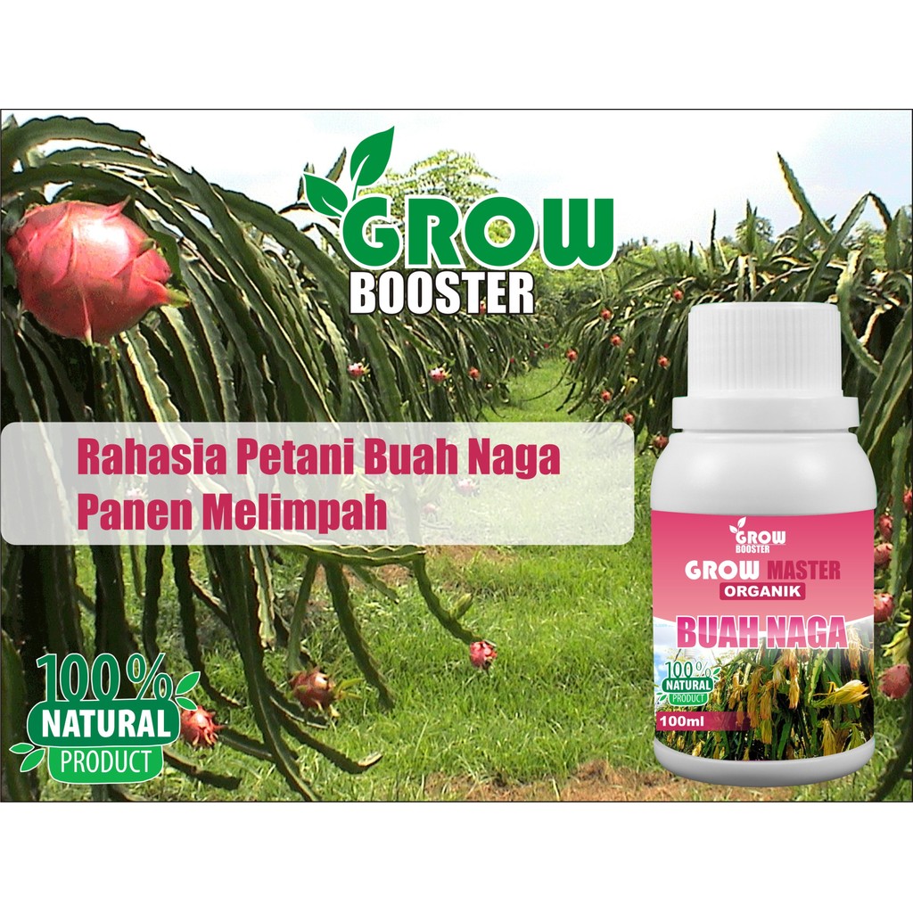Jual GROWBOOSTER - Pupuk Organik Cair Tanaman Buah Naga 100ml | Pupuk Organik Pelebat Buat ...