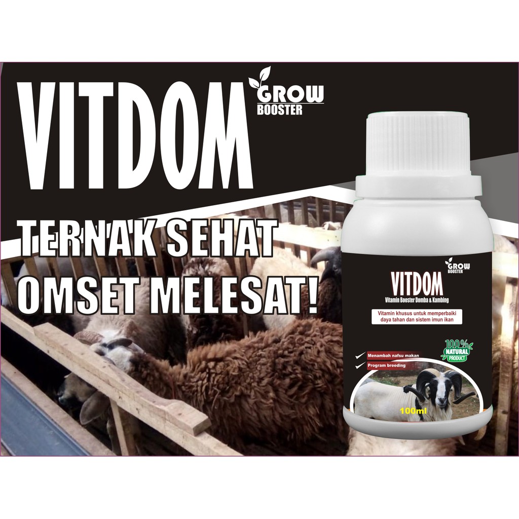 Jual VITDOM Penggemuk Kambing 100% Vitamin Hewan Ternak Aman, VITAMIN ...