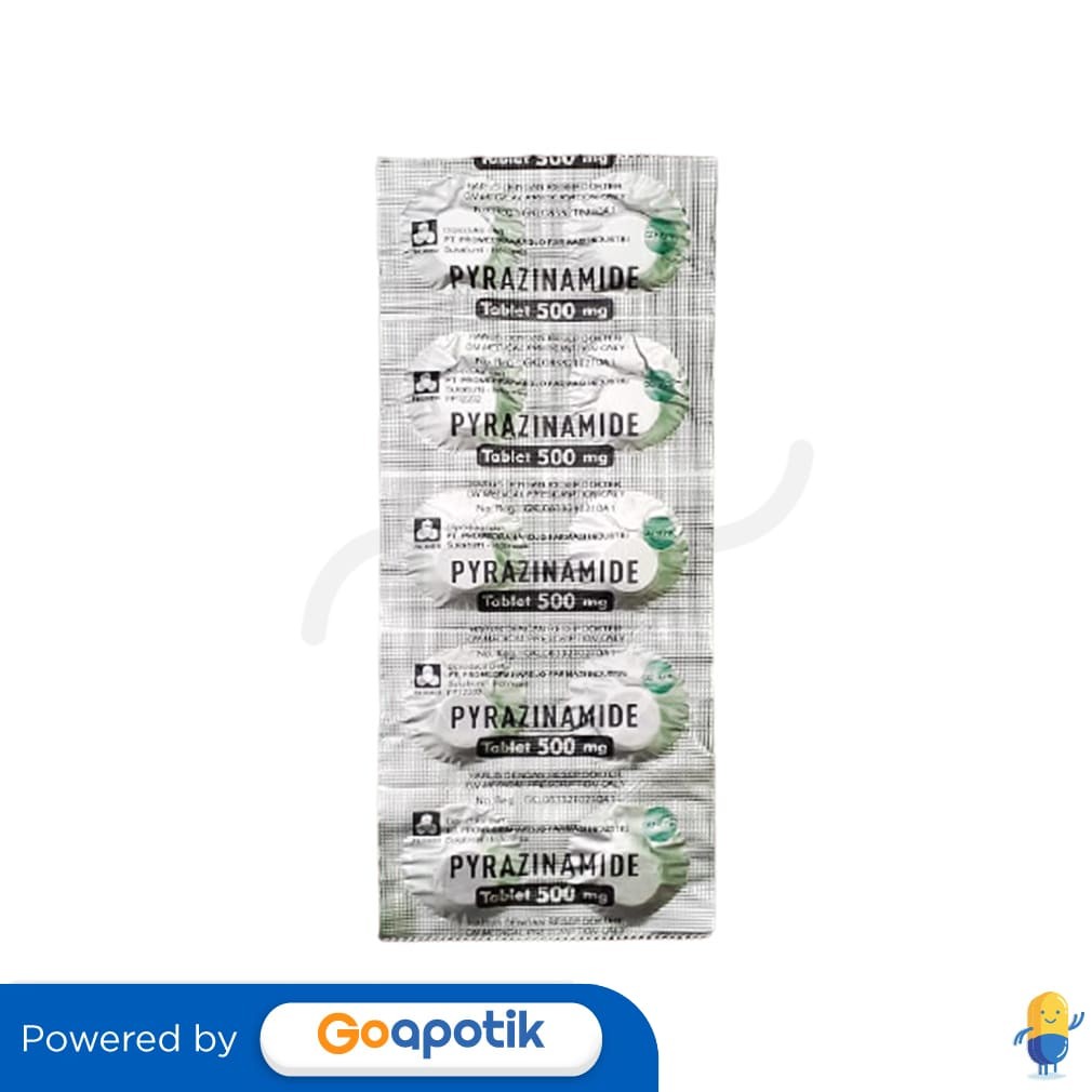 Jual Pyrazinamide Promed 500 Mg Strip 10 Tablet | Shopee Indonesia