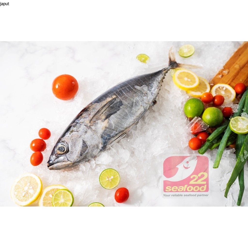 Jual Ikan Baby Tuna 1 kg / Baby Tuna Beku Kapal | Shopee Indonesia