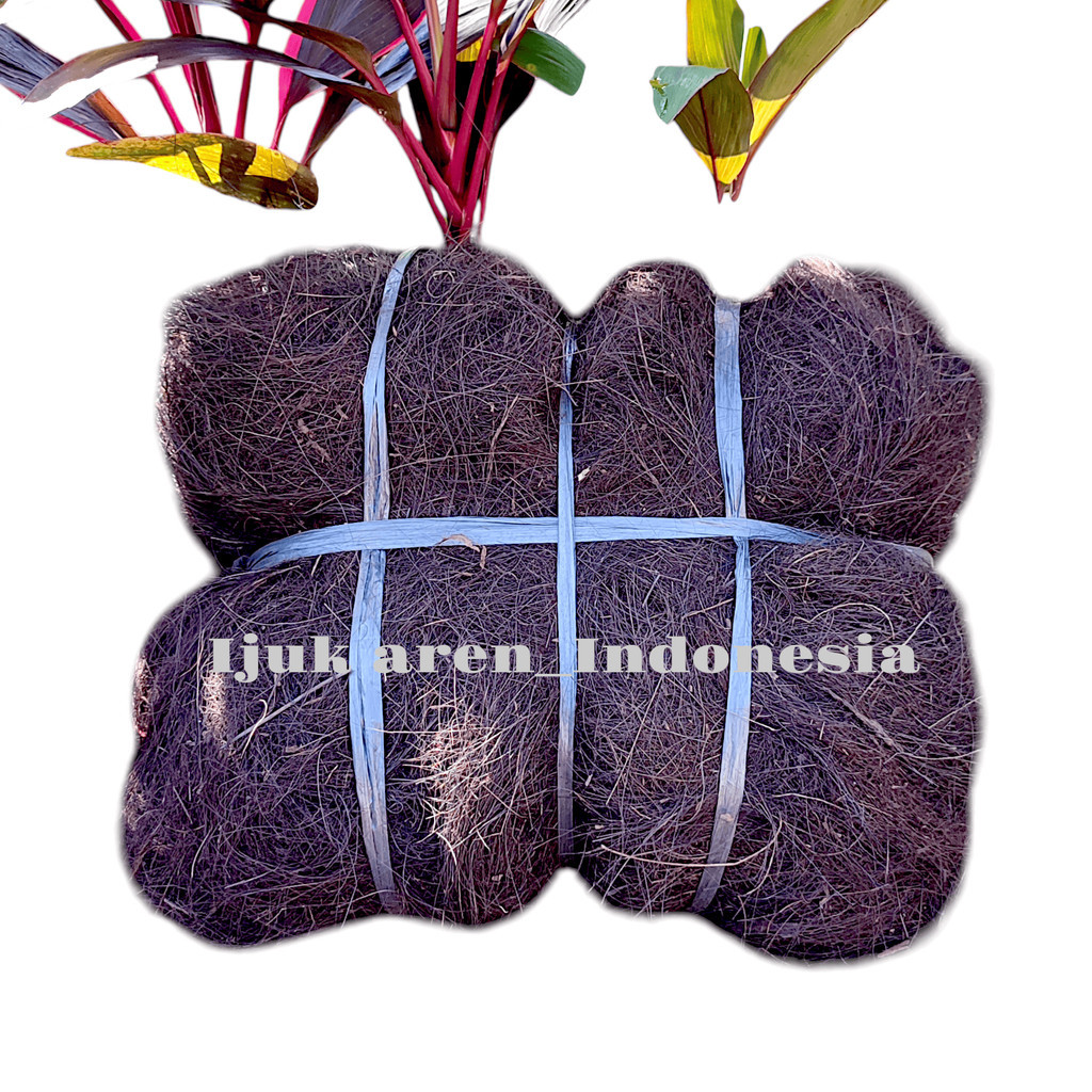 Jual Ijuk aren resapan 1Kg original untuk filter air dan media tanam ...