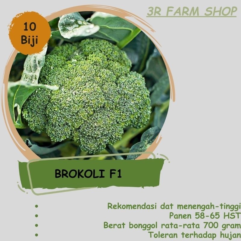 Jual Benih repack sayur brokoli hijau known you seed isi 10 biji ...