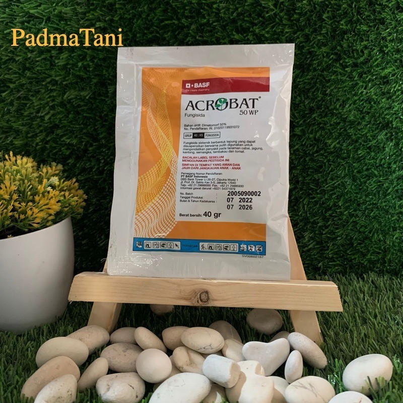 Jual [KEMASAN BARU] ACROBAT 50WP 40gr - Fungisida | Shopee Indonesia