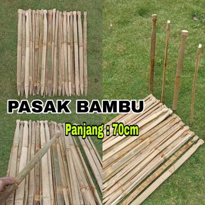Jual Pasak Tenda Pramuka/Patok Bahan Bambu Panjang 70Cm | Shopee Indonesia