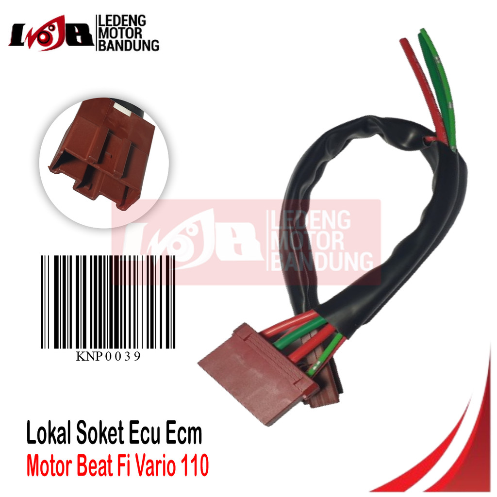 Jual Soket Kabel ECU Kiprok Beat Fi Vario 110 Scoopy Esp Socket ECM ACG ...