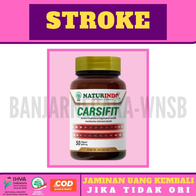 Jual Obat Stroke Struk Obat Stroke Ringan Berat Paling Ampuh Herbal ...