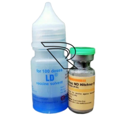Jual Vaksin ND Hitchner B1 Dosis 100 Ekor Vaksin Ayam Pertama DOC Anti ...