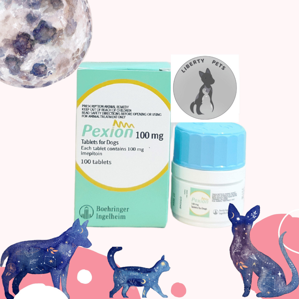 Jual Pexion 100mg Anti Epilepsi / Kejang-Kejang Pada Anjing (ECER 1 ...