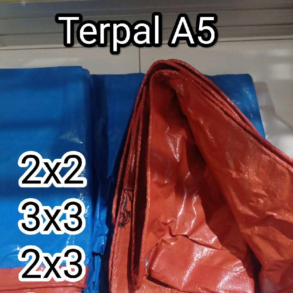 Jual Terpal A5 Super 2x2 2x3 2x4 3x3 tenda tikar korea alas duduk ...