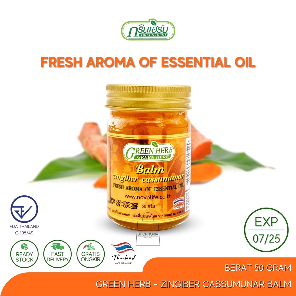 Jual Novolife Green Herb Balm Zingiber Cassumunar 50 Gram Thailand ...