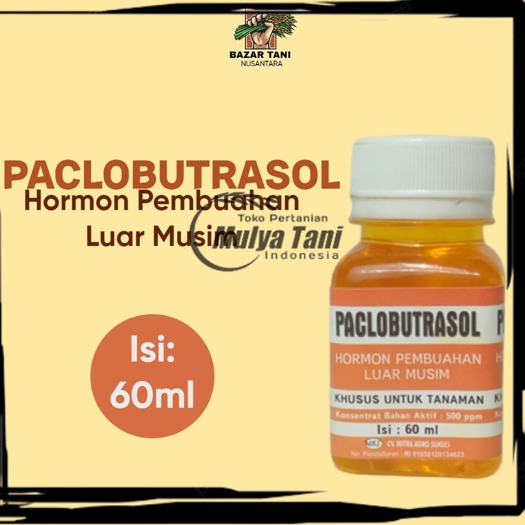 Jual Paclobutrazol hormon pembuahan awal musim perangsang tanaman ...