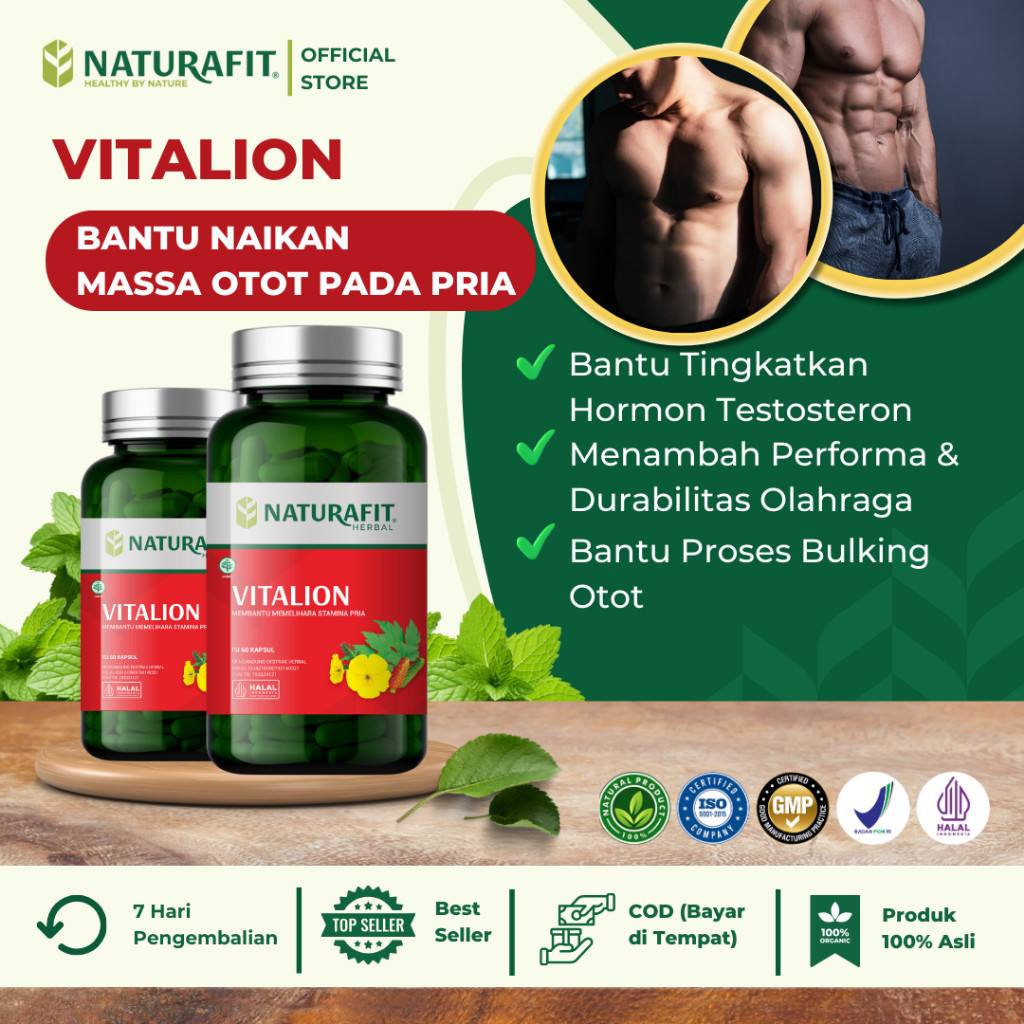 Jual VITALION - Suplemen Herbal Penambah MASSA Otot Pria Maksimalkan ...