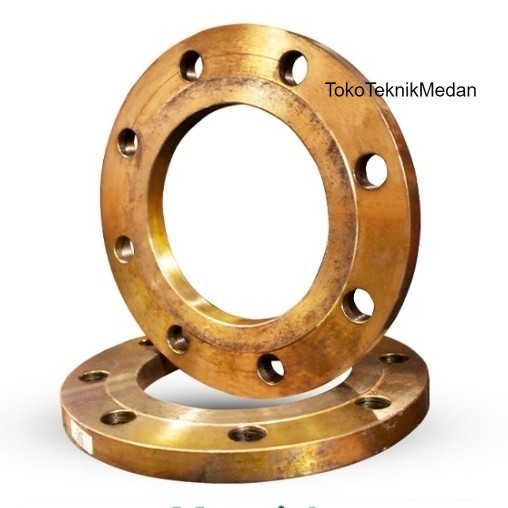Jual 8" FLANGE LAS BESI PN16 NS 8 INCH PN 16 STD RF | Shopee Indonesia