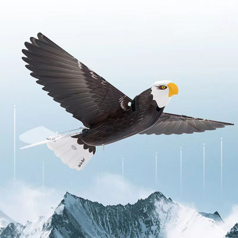 Jual TK Go Go Bird Eagle,RC Eagle Upgraded Flying Bird,RC Helicopter ...