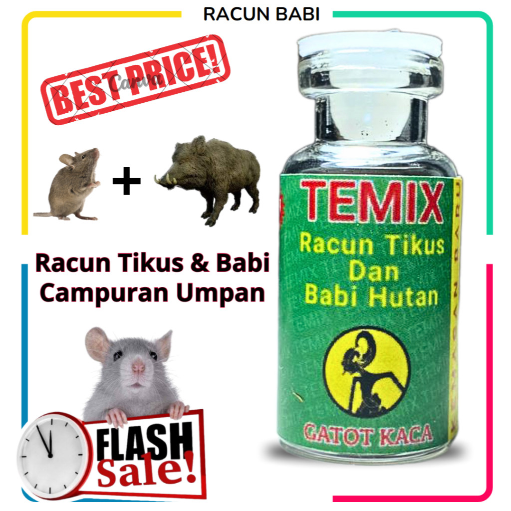 Jual Breakrates TEMIX GATOT KACA RACUN TIKUS DAN BABI HUTAN DI JAMIN ...