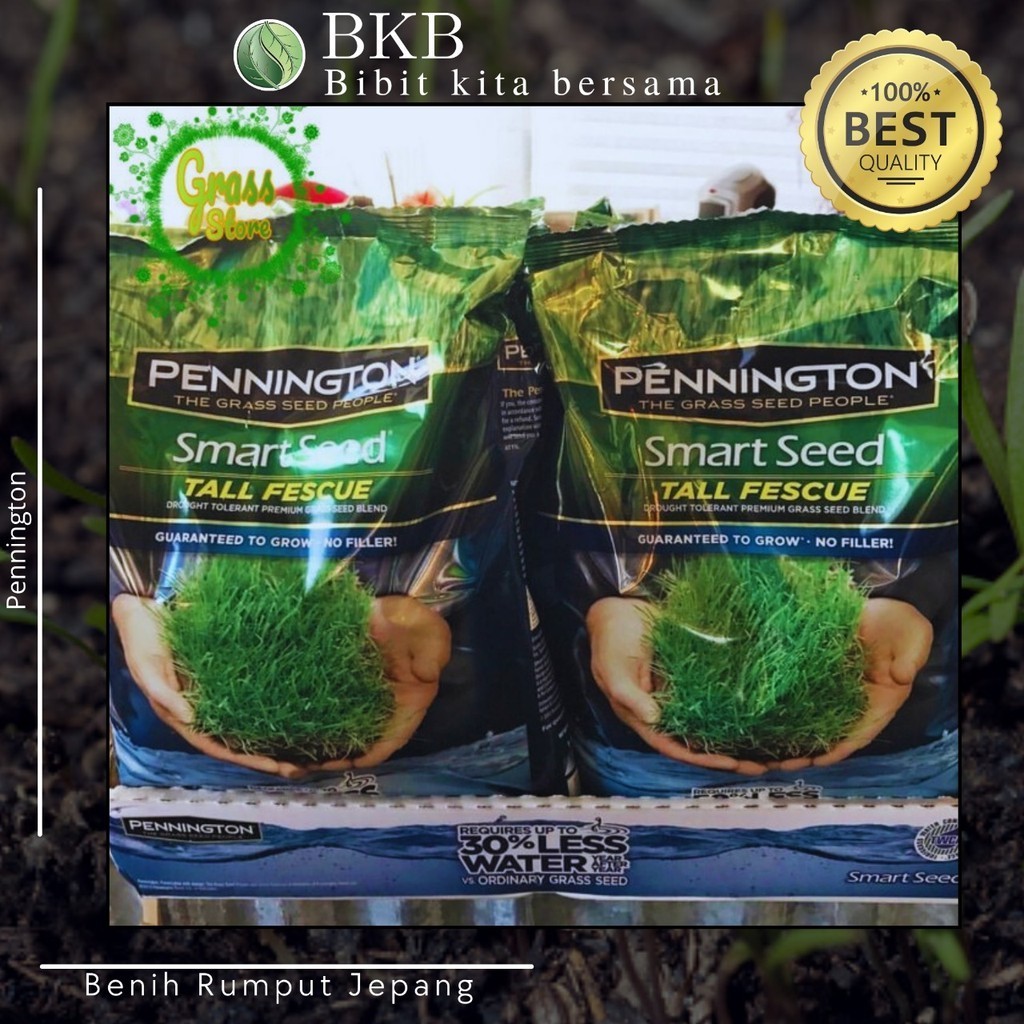 Jual Biji rumput Jepang 50Gram - Jual benih Bibit rumput Jepang 50Gram ...