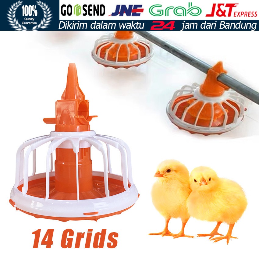 Jual Pan Feeder 14 Lopang / Tempat Pakan Ayam Otomatis / Alat Ternak Ayam Unggas | Shopee Indonesia