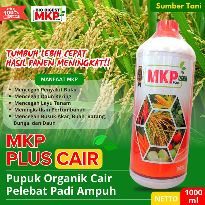 Jual STAN Pupuk Pelebat Padi Murah BIO MKP Pupuk Cair Organik Melebatkan Padi | Shopee Indonesia