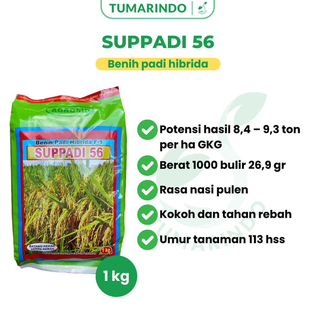 Jual Supadi 56 F1 1 Kg Benih Padi Hibrida Agrosid | Shopee Indonesia