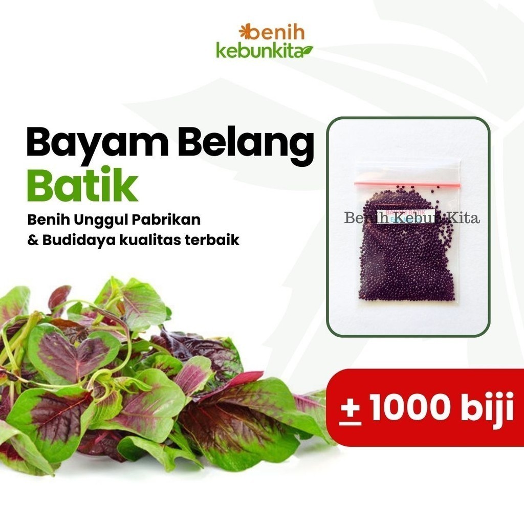 Jual Biji Benih Bayam Batik Belang Bibit Sayuran Loreng Unggul Tanaman ...