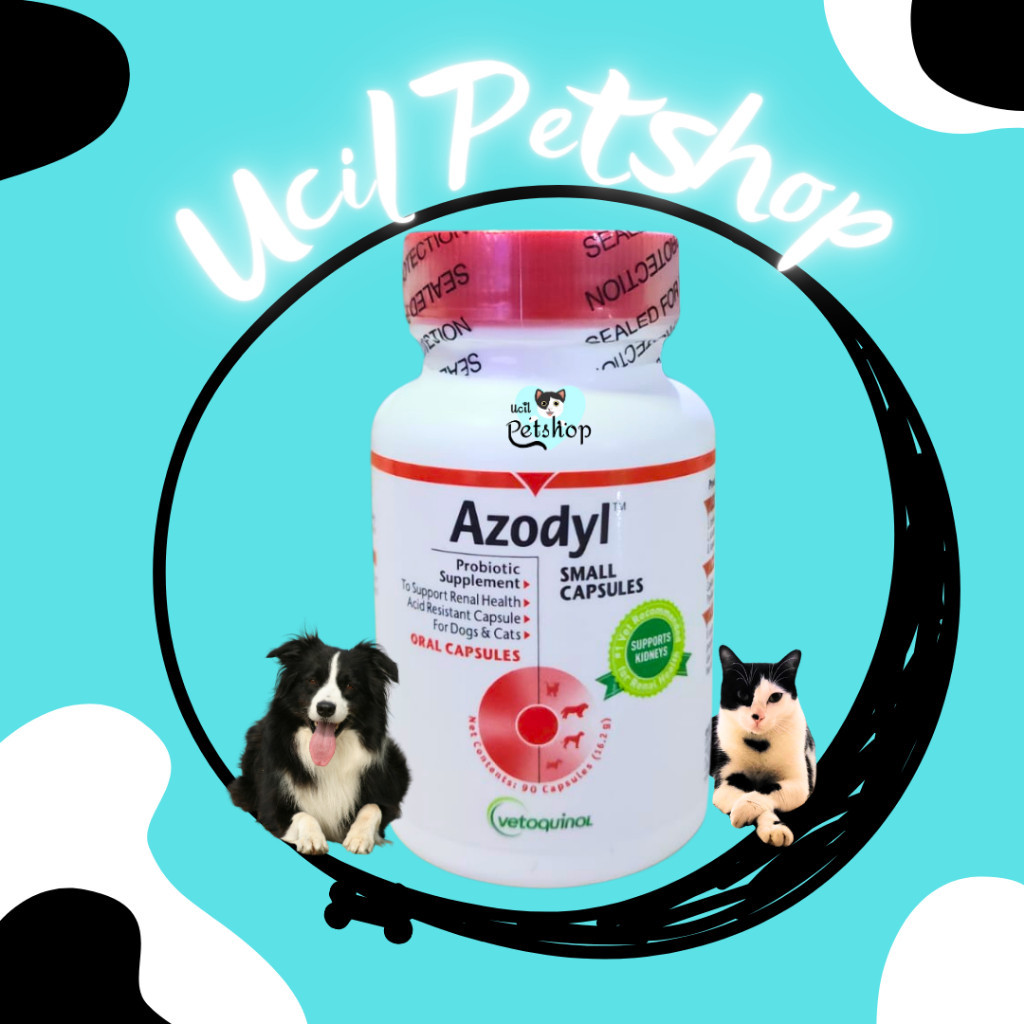 Jual AZODYL Vetoquinol USA Suplemen Ginjal Anjing Kucing 90 Kapsul (1 ...