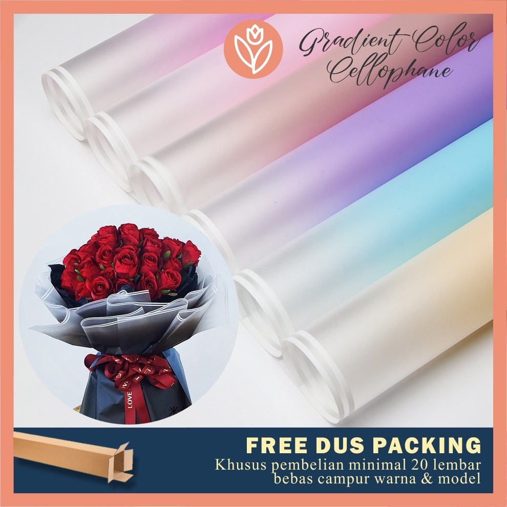 Jual TULIP PAPERIE - KERTAS BUKET BUNGA WARNA GRADASI CELLOPHANE ...