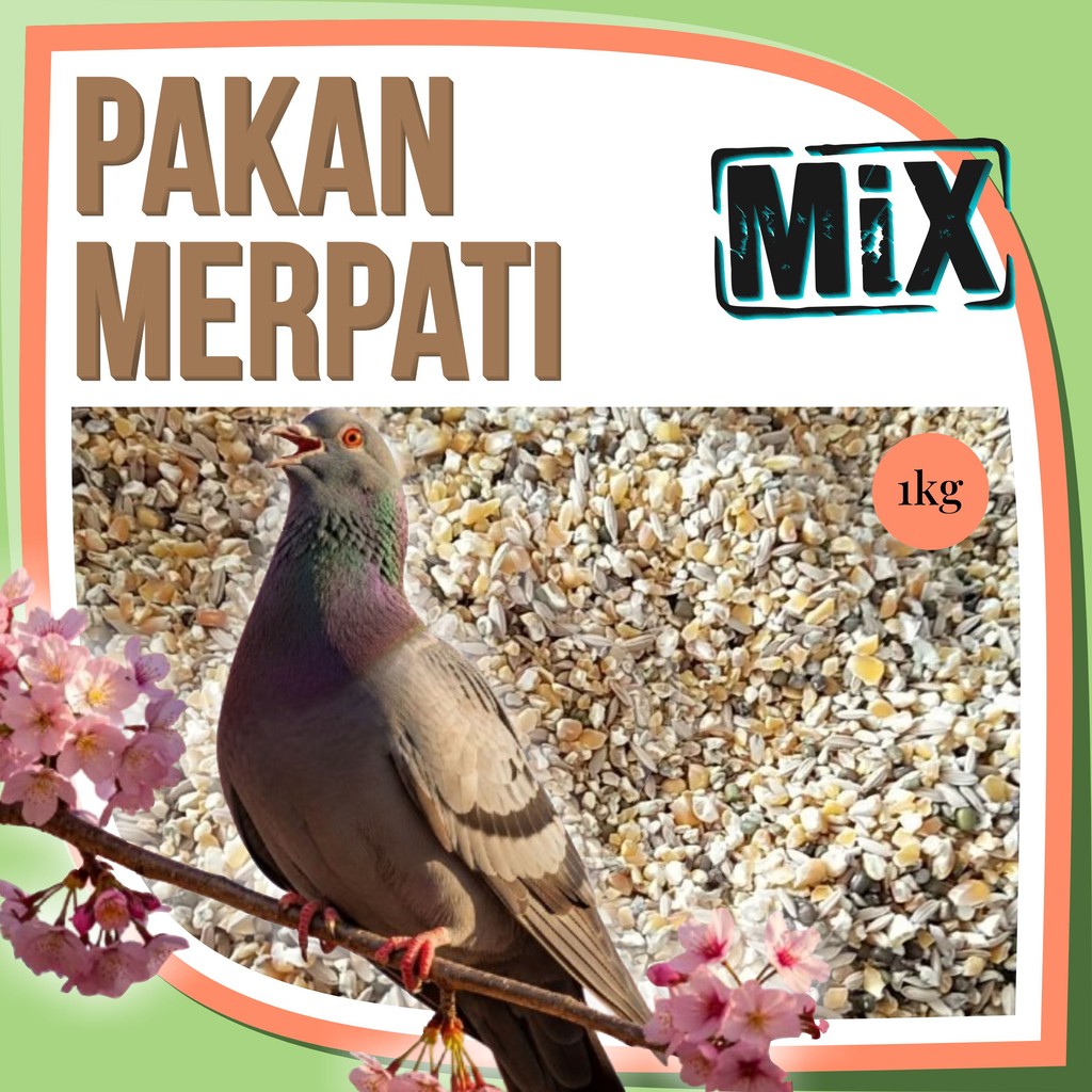 Jual Pakan Burung Merpati 1Kg Premium Super Termurah Gratis Ongkir ...