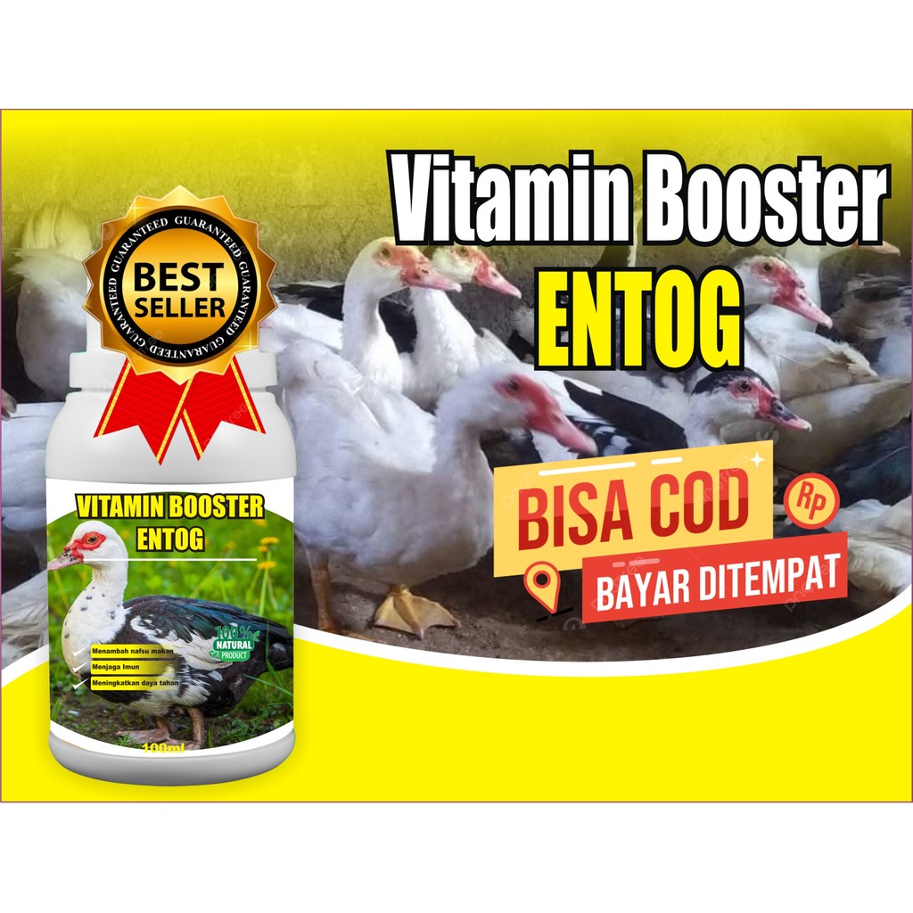 Jual Vitamin Penggemuk Unggas Entok / Mentok 100ml Best SELLER ...