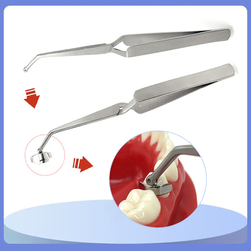 Jual Dental Matrix Holder Clamp Matrices Tweezers Matrix Bands ...