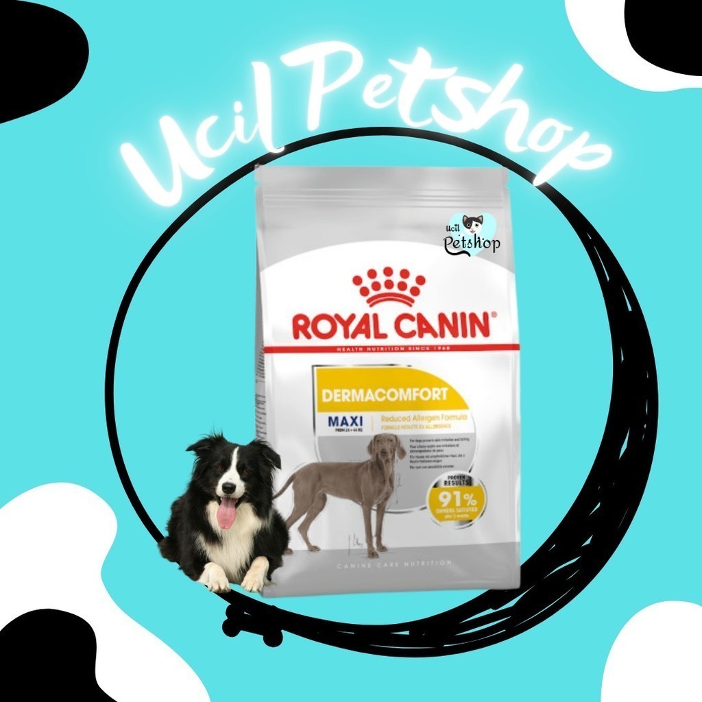 Jual Royal Canin Maxi Derma Dermacomfort Dry Food Sensitive Skin Dog ...