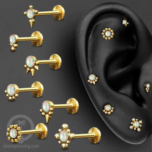 Jual Anting Stainless Helix, Tragus & Labret Piercing warna emas dengan ...