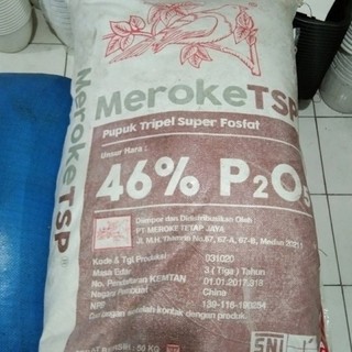 Jual 50 KG - Pupuk Meroke TSP Tripel Super Fosfat Granulee ORIGINAL ...