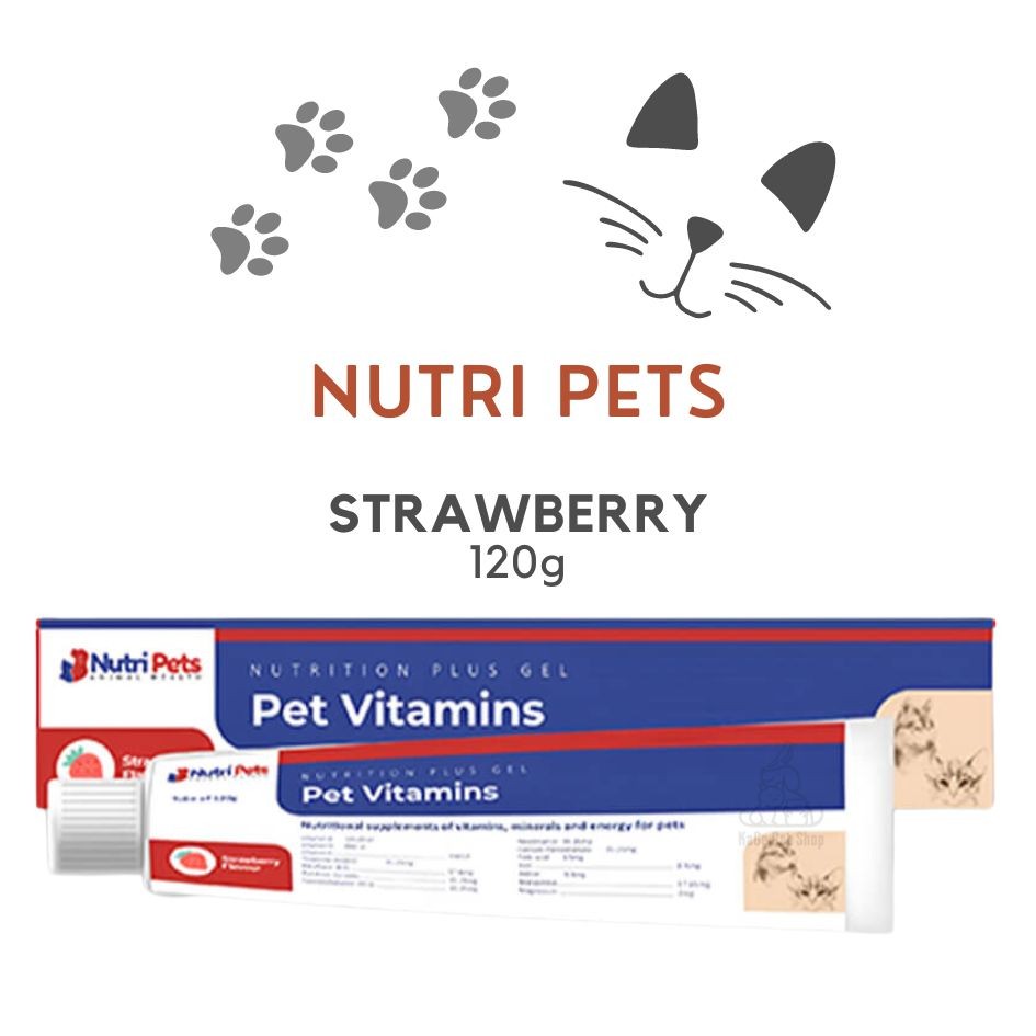 Jual NUTRI PETS 120g - Strawberry | Shopee Indonesia